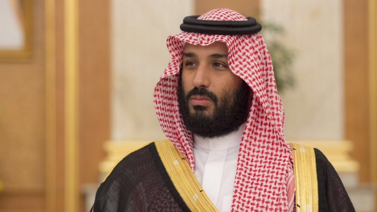 صور خاصة لم تنشر من قبل لمحمد بن سلمان شاهد
